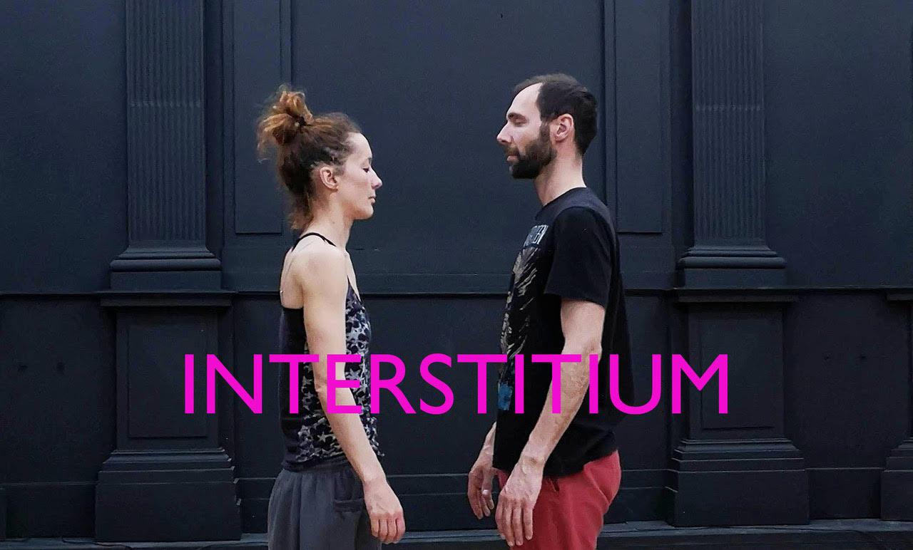 Interstitium – micadanses