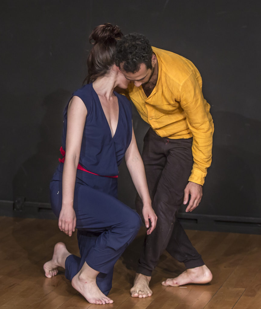 Partnering – Micadanses