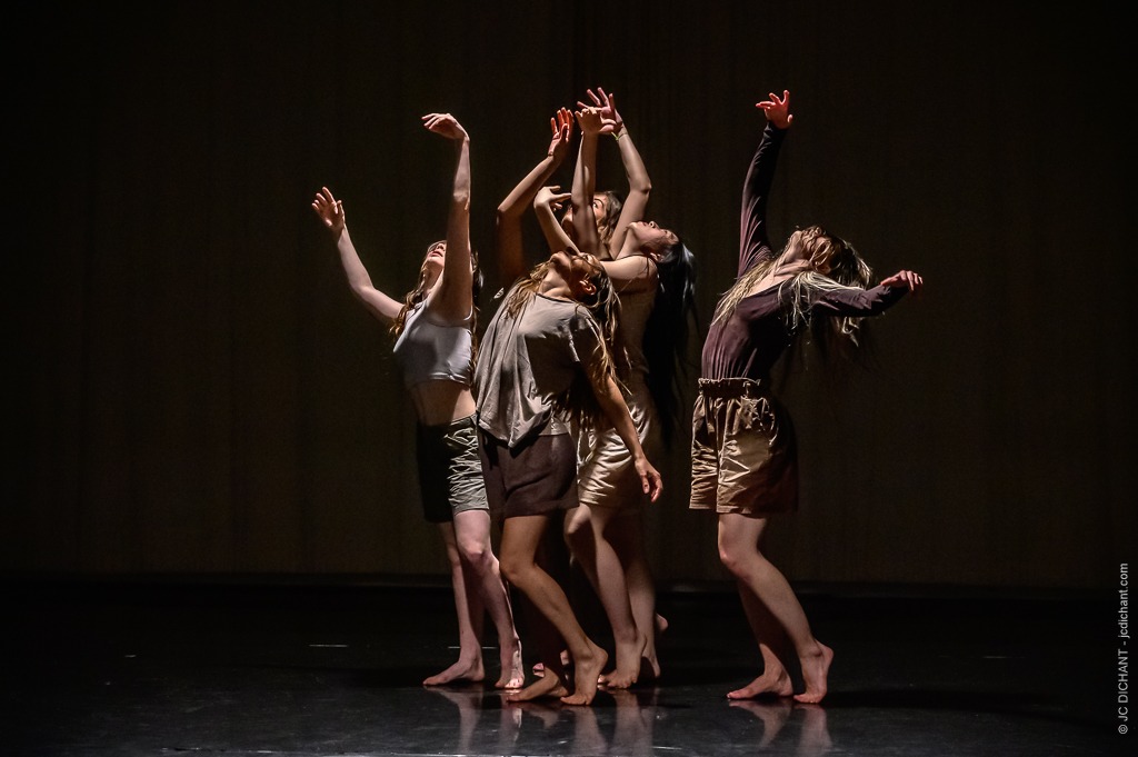 L’ordre étrange des choses – micadanses